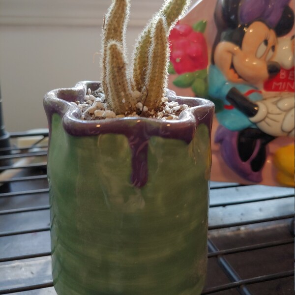 Wooden Push Duck Toy- Push Toy- Push Duck- Wooden Push Toy- Handmade ...