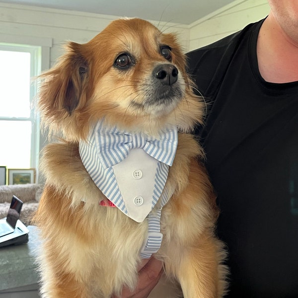 Tuxedo Dog Bandana, Seersucker Pink and Blue Dog Bandana With Snaps ...