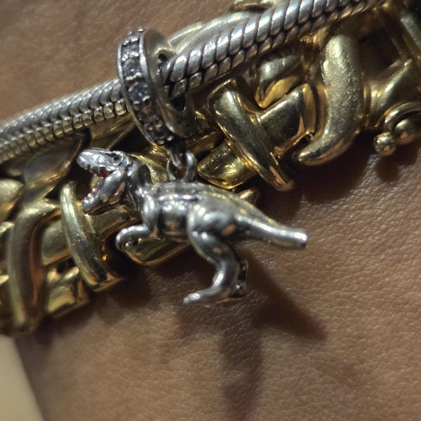 Treasure, Turtle and Shell Charm for Bracelet, Sea Treasure Charm ...