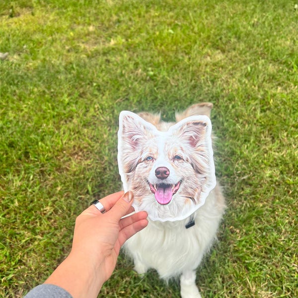 Custom Pet Sticker Using Your Pet Photo Custom Dog Sticker Custom Cat ...