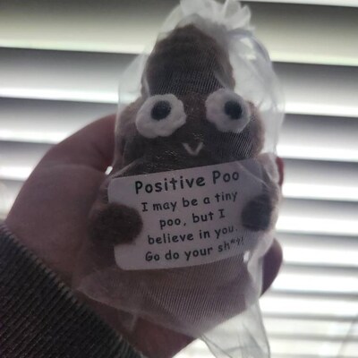 Funny Support Bee Gift, Desk Buddy, Teacher Appreciation Gift, Emotional Support Bee, Coworker ...