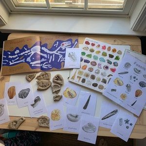 Hello Around the World Flashcards Multicultural Language | Etsy