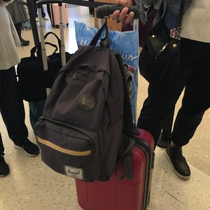 Sticky-memes Pepe the Frog Meme Sticky Notes - Etsy