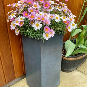 Dark Grey Handmade Cuboid Square Concrete Planter Pot Flowers | Etsy UK