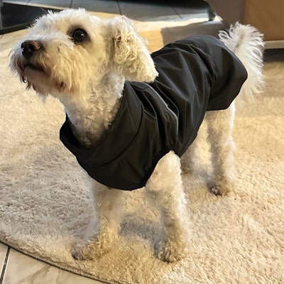 Light Jacket for Dog Raincoat for Dog Clothing for Dog Dog Wear Pet ...