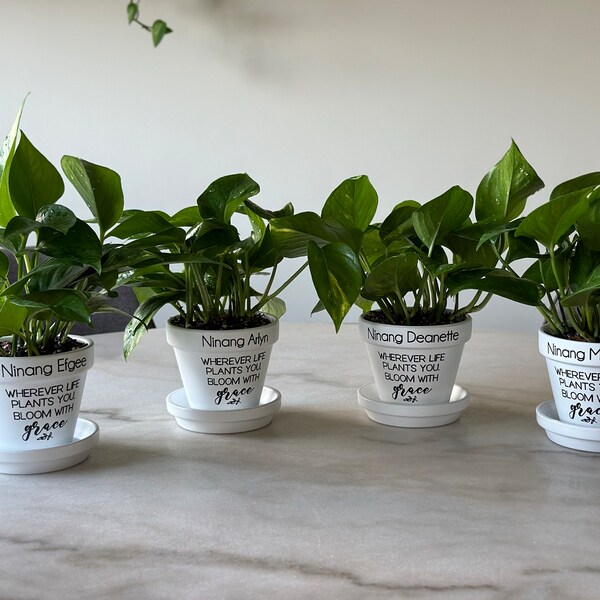 I Love a Dirty Hoe - Plant Pun - Plant Pun Pot - Punny Pot - Pot With ...