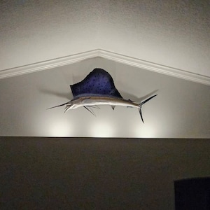 50 Barracuda Half Sided Fish Mount - Etsy