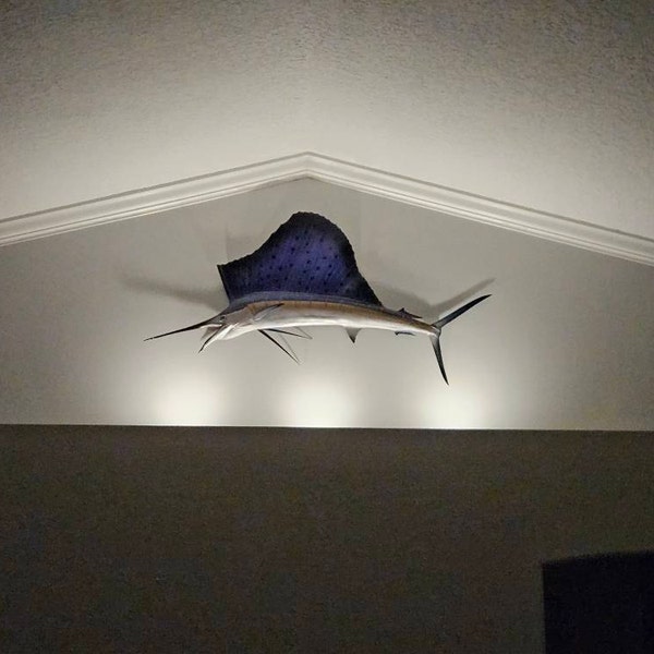 50” Barracuda Half Sided Fish Mount - Etsy