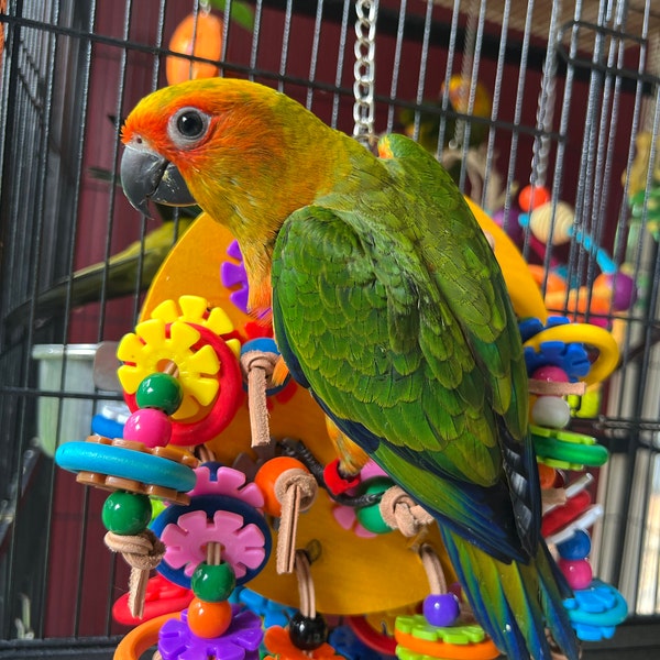 PARROT PALM TREE Toy - Etsy