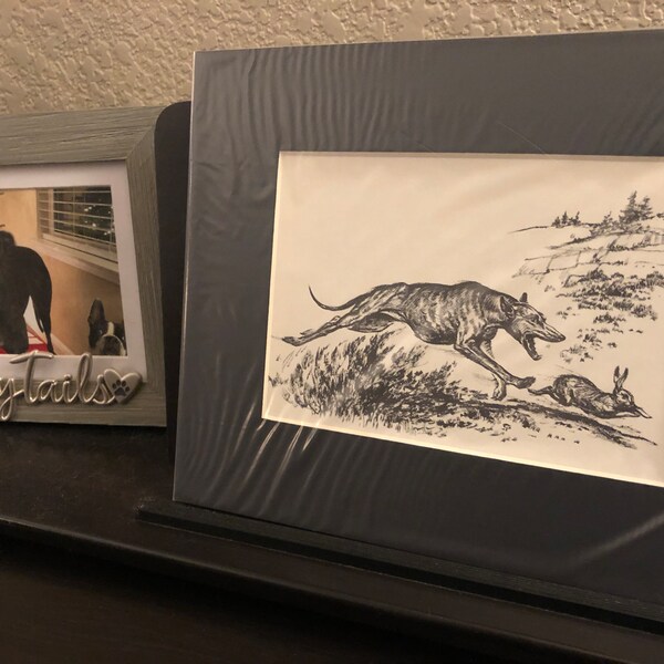 German Shorthaired Pointer Sketch Custom Matted 1963 Vintage Art ...