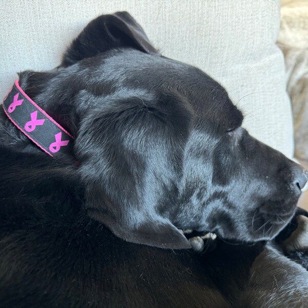 Labrador Retriever Dog Collars, Canoe Dog Collars, Wilderness Dog ...