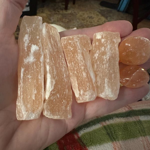 Red Willow Bark / Willow Bark / Cansasa / Native Tree / Organic / Tree ...