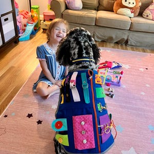 Dexterity and Speech Therapy Picture/sign Display Vest Therapy Dog ...