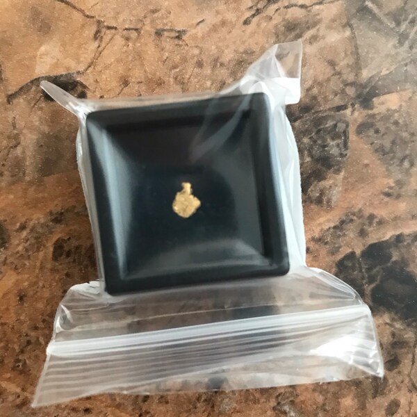 Natural California Gold Nugget / Micro Size 0.823 Grams / Gold Crystal ...