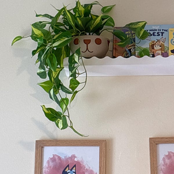 Bluey Inspired Decorative Plant Pot Home Decor 3D Printed Hand Painted ...