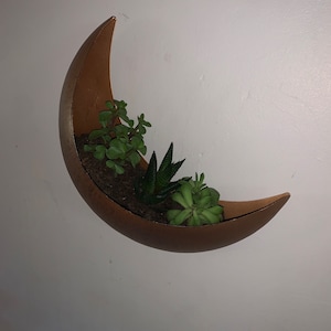 Crescent Moon Wall Planter Indoor Outdoor Metal Moon Planter - Etsy
