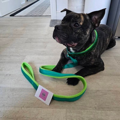 Design Your Own Multi Point Soft Rope Lead Double Ended Leash Training ...