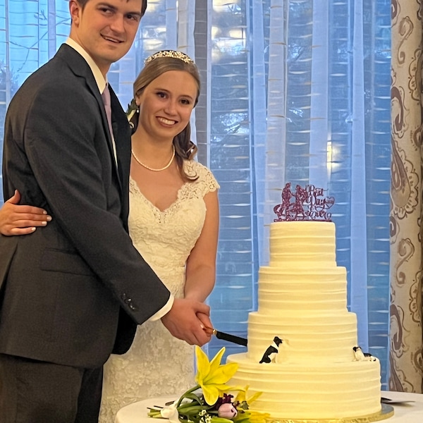 Wedding Cake Topper,rapunzel Cake Topper,long Hair Princess Topper ...