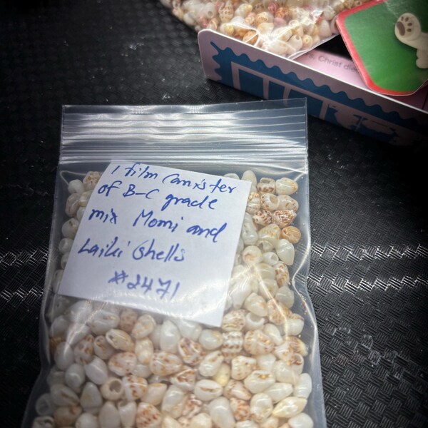 100 Pcs Size 14 and Larger, Mix Color Kahelelani Shells Supply! Niihau ...