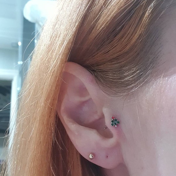 Ear Stretching/2g-1'' Kit/20pcs Gauges Expander Set/soft Silicone ...