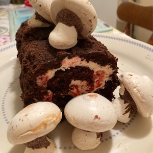 German Chocolate Cake Roll - Etsy