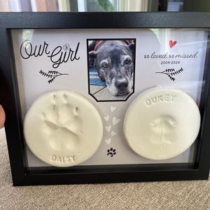 Pet Memorial Paw Print Holder Shadow Box, Two Paw Prints, Pet Loss ...