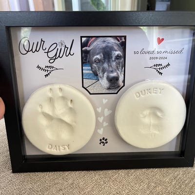 Pet Memorial Paw Print Holder Shadow Box, Two Paw Prints, Pet Loss ...