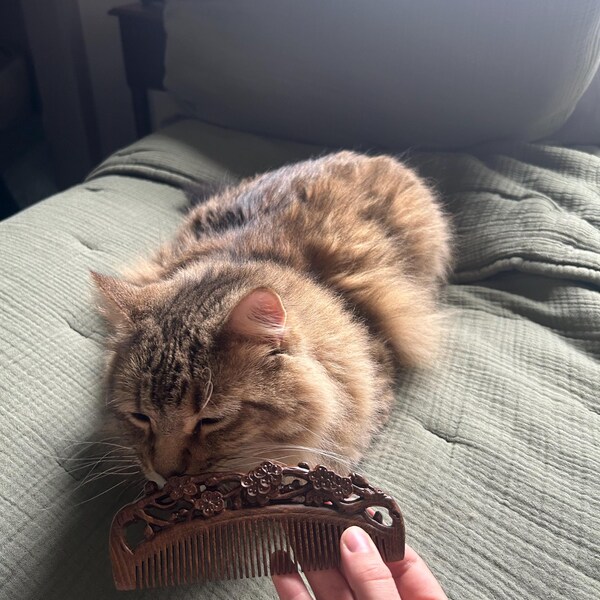 Vintage LDADPR Square Face Silver Tone Quartz Wrist Watch Works- Needs ...