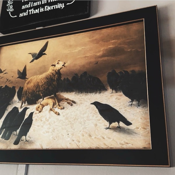 Eugerres Plumieri or Striped Mojarra X-ray. Science Art Print. - Etsy