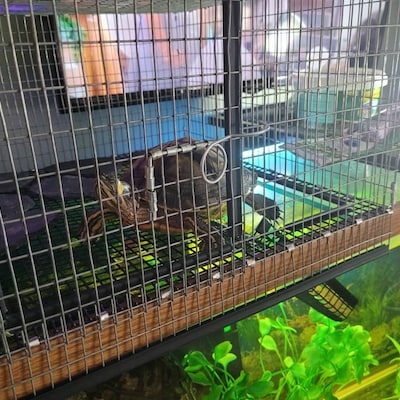 36 1/2 Long X 19wide Aquarium Tank Topper Cage Funhouse Gerbil Rat ...