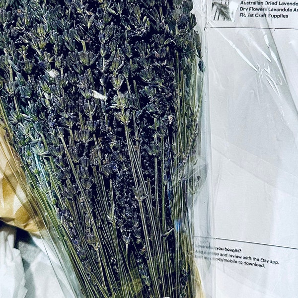 Dried Australian Native Flower Arrangement Bridal Weddings Bouquet ...