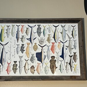 24x36 Offshore Fishes of the Atlantic & Gulf of Mexico Poster, Offshore ...