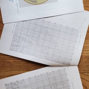 Cross Stitch Chart, Pattern, Sandpiper, Bird, Wild, Sea, Wader - Etsy