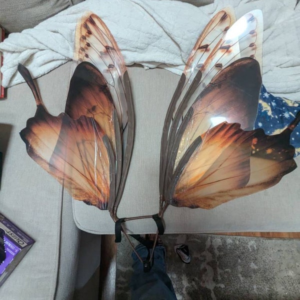 Iridescent Dragonfly Wings, Wings Photo Prop, Fairy Dragonfly Wings - Etsy