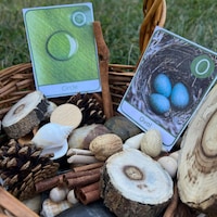 Nature COLOUR Wheel Nature COLOR Wheel Nature Play Printable Nature ...