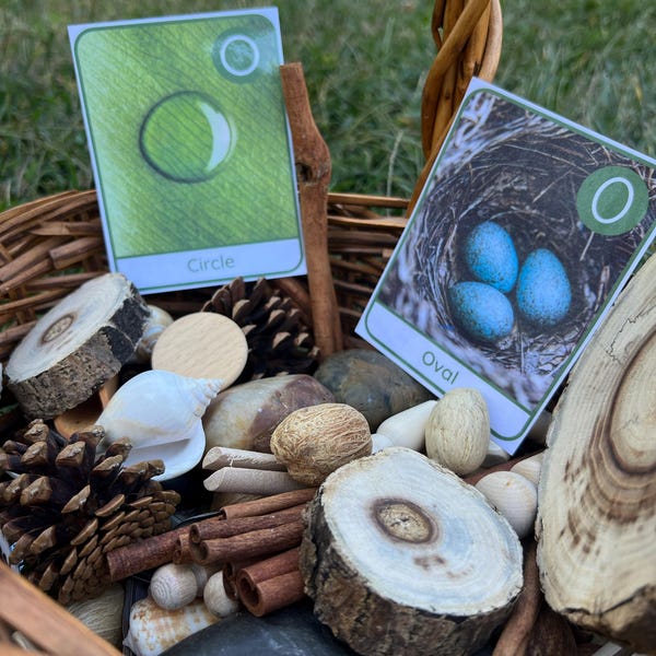 Nature COLOUR Wheel | Nature COLOR Wheel | Nature Play Printable ...