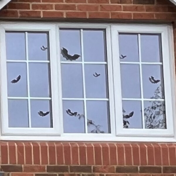 Halloween Bat Sticker Pack | Spooky Halloween Front Door, Window ...