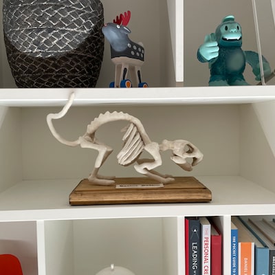 Genetically Engine-eared Vacanti Mouse, Vegan Faux Taxidermy ...