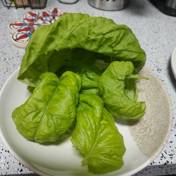 Valentino Basil Seeds - Etsy