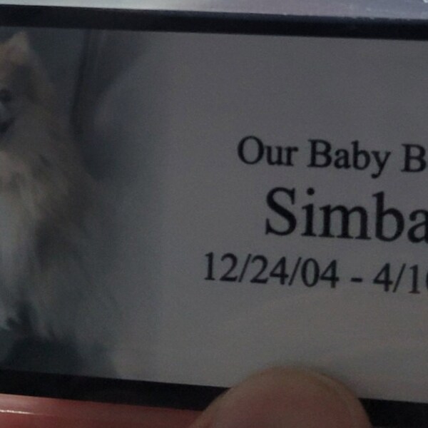 Name Tag Badge With Pin or Magnet Attachment Employee Identification ...