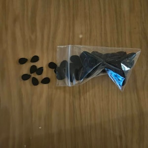 Plastic Watermelon Seeds - Etsy