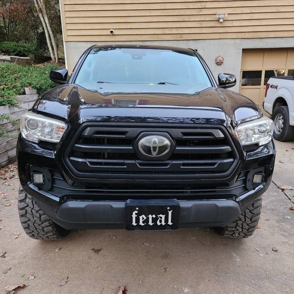 Kawaii Ghost License Plate Frame, Cute Halloween Gen Z Vehicle ...