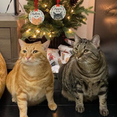 Tabby Cat Christmas Ornament, Personalized Holiday Keepsake Gift - Etsy