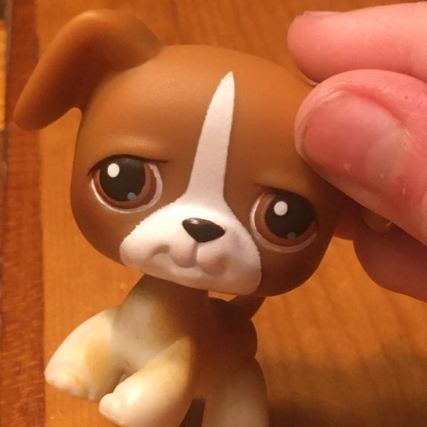 Littlest Pet Shop LPS Lot of 10 Pc Accessories in Gift Bag Random ...