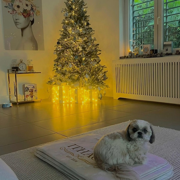 Forest Moss Wall Clock Temperate Forest Moss and Plants Clock for ...