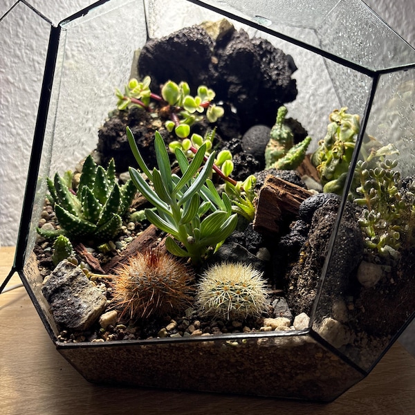 Waterproof 18 Inches Geometric Terrarium Galaxius - Stunning Parametric ...