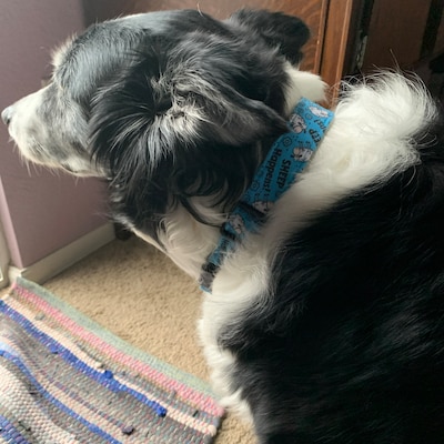 Dog Collar/fresh Out of Fus Dog Collar/ Flower Dog Collar/ Cussing Dog ...