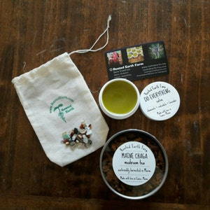 Chaga Tea, Maine Chaga Mushroom Tea, Inonotus Obliquus, Chaga Chunks ...