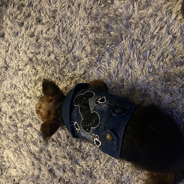 Patched up Pup: "blinged Out Doggie Bone" Iron-on Rhinestone Patch for ...