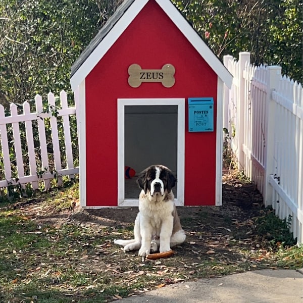 Engraved Signs, Personalized Dog Bone, Personalized Dog Gifts, Wood Dog ...